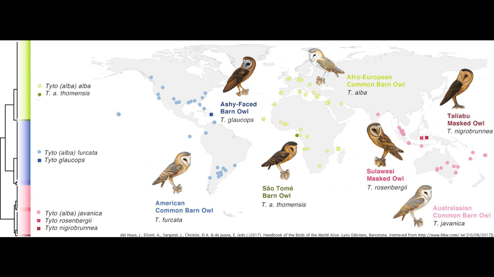 Population movements